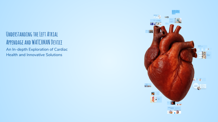 Understanding the Left Atrial Appendage and WATCHMAN Device by Abedallah Ghunaim on Prezi