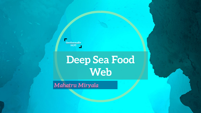 Deep Sea Food Web by Mahatru Miryala on Prezi