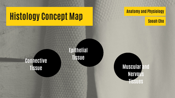 Histology Concept Map by Sooah Cho on Prezi Next
