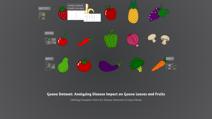 Guava Dataset: Analyzing Disease Impact on Guava Leaves and Fruits by Tulsi Kadiya on Prezi