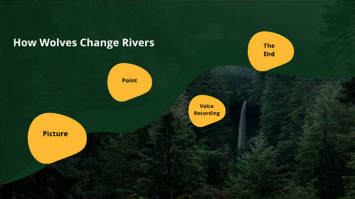 How Wolves Change Rivers by Genesis Rivera on Prezi
