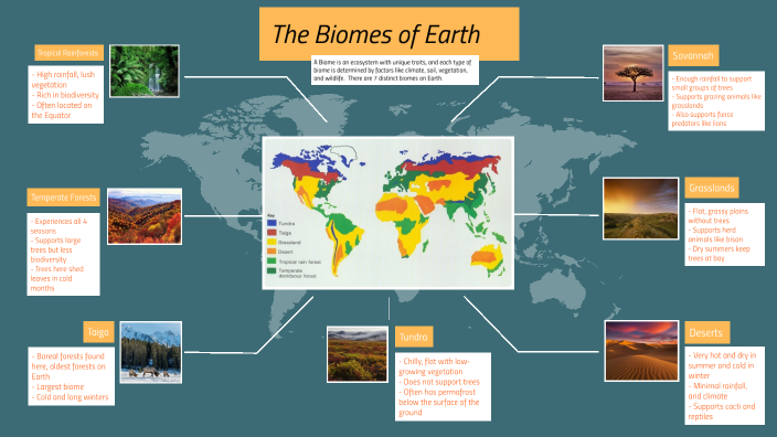 Socials 11 Earth's Biomes Infographic by Keith Ippel on Prezi