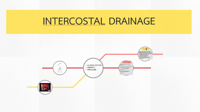ICD CARE by Jern Supanun on Prezi