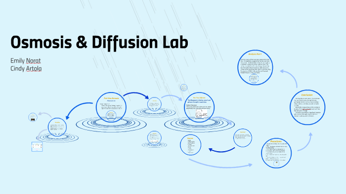 Osmosis & Diffusion Lab by Emily Norat on Prezi