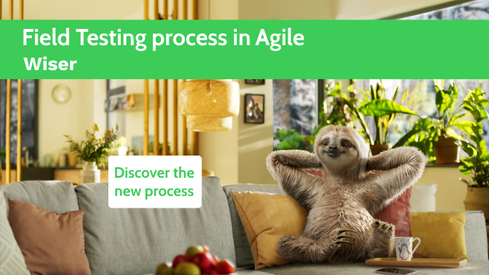 Wiser Field Test process by Léane Maroello on Prezi