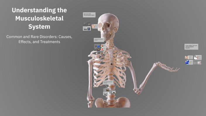 Understanding the Musculoskeletal System by Regina N on Prezi