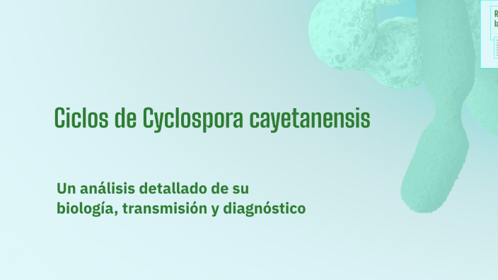 Cyclospora cayetanensis by Itzel C. G. on Prezi