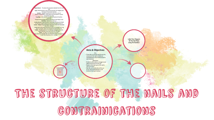 The Structure Of The Nails & Contraindications by nicola scally on Prezi