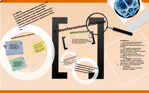 los procesos psicologicos de la vida afectiva by melissa muñoz on Prezi