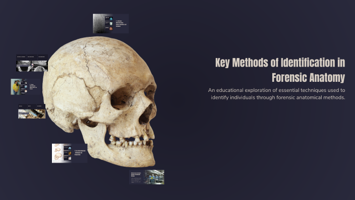 Key Methods of Identification in Forensic Anatomy by sara rathore on Prezi