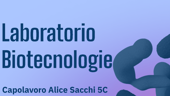Capolavoro unica by Alice Sacchi on Prezi