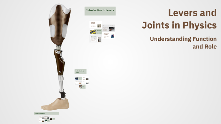 Levers and Joints in Physics by Horia Alexandru on Prezi