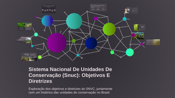 Sistema Nacional De Unidades De Conservação (Snuc): Objetivos E ...