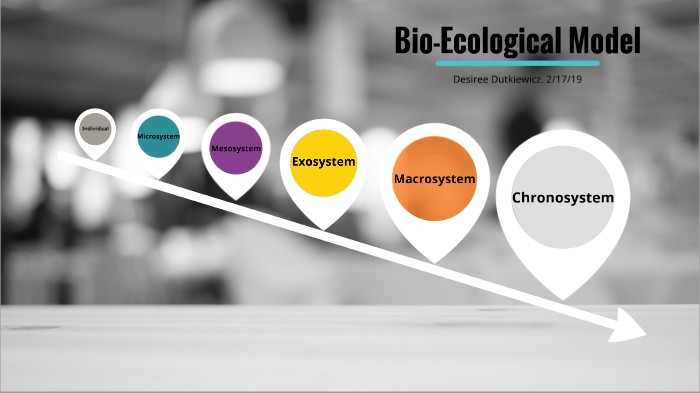 Bio-Ecological Model by Desiree Dutkiewicz on Prezi