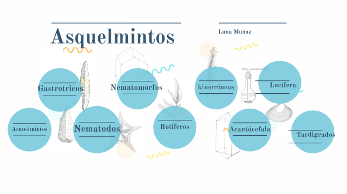 Asquelmintos by Luna Muñoz on Prezi
