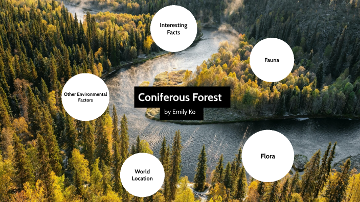 biome concept map by Emily K on Prezi