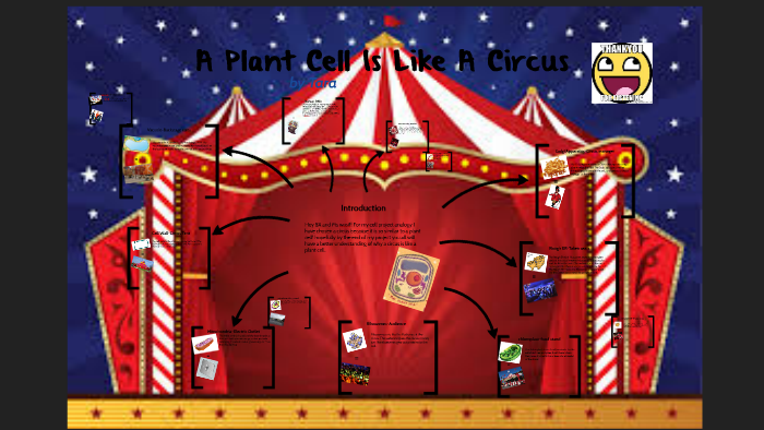 A Circus Is Like A Plant Cell by Tara calafiore on Prezi