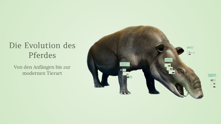Die Evolution des Pferdes by alexander reimer on Prezi