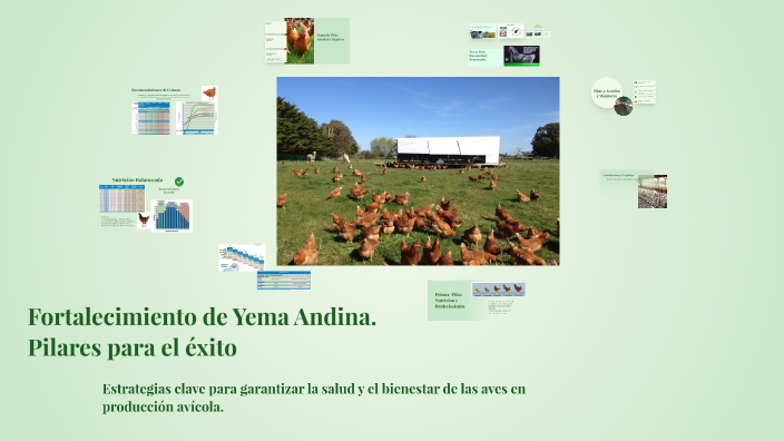 Fortalecimiento de un plantel avícola en formación: Pilares para el ...