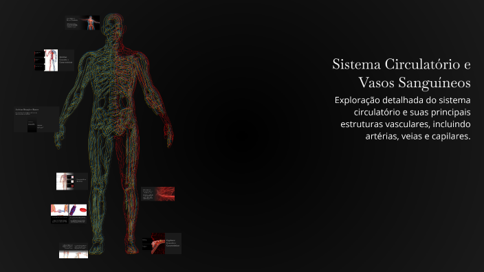 Sistema Circulatório e Vasos Sanguíneos by Monise Alexandra Da Silva ...