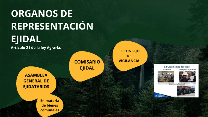 Unidad 3. Órganos del Ejido by ANDREA MELGAREJO on Prezi