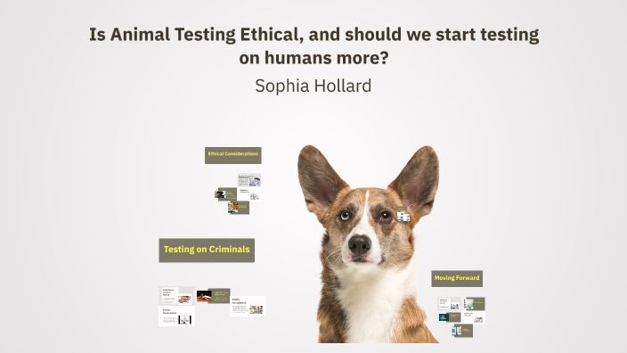 Is Animal Testing Ethical? by SOPHIA 0204960 on Prezi