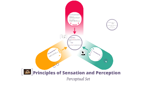 Principles of sensation and perception by Lydia Samuelson on Prezi