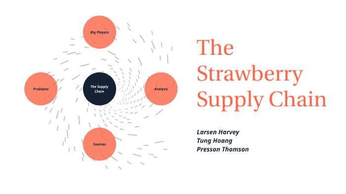 The Strawberry Supply Chain by Larsen Harvey on Prezi