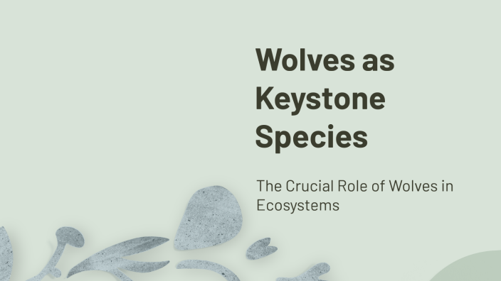 Wolves as Keystone Species by JACOB REYNA on Prezi