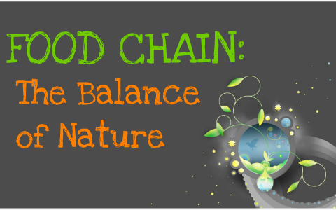 The Balance of Nature: Food Chain by intan liana on Prezi