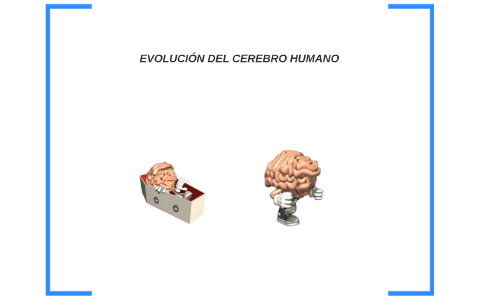 EVOLUCIÓN DEL CEREBRO HUMANO by belen pavon on Prezi
