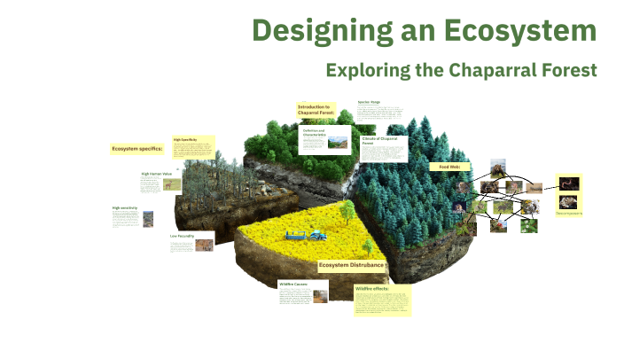 Designing an Ecosystem by Keira Schonfeld on Prezi