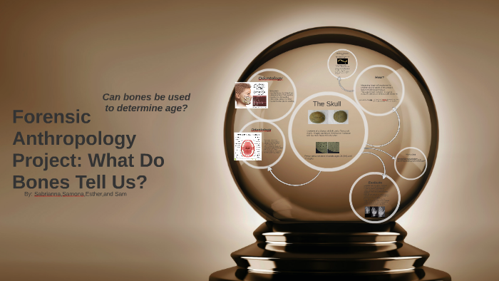 Forensic Anthropology Project: What Do Bones Tell Us? by Sabrianna ...