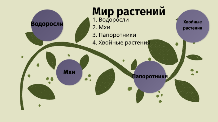 Мир растений by Елизавета Ташкинова on Prezi