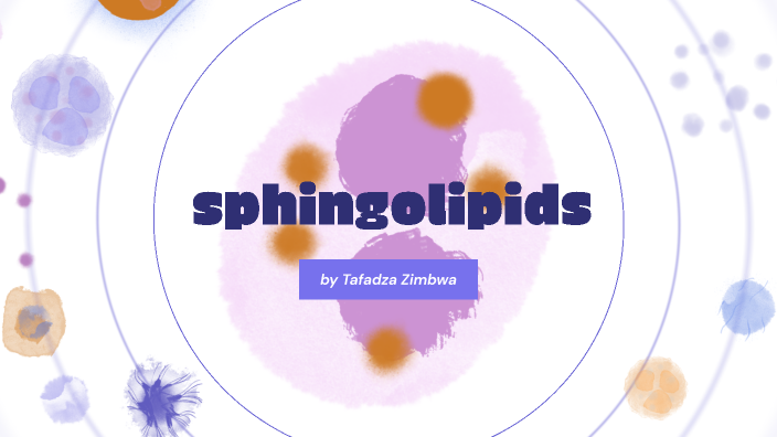 sphingo tafadza by Etabong Michelle on Prezi