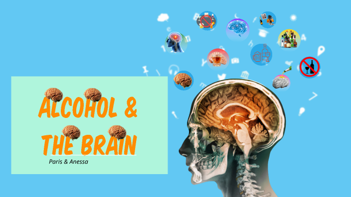 Alcohol & the brain by Paris Shefelbine on Prezi