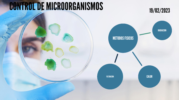 CONTROL DE MICROORGANISMOS: METODOS FISICOS by bryam peña on Prezi