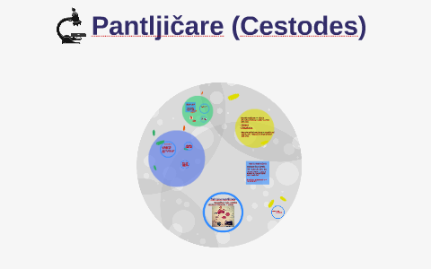 Pantljičare (Cestodes) by Vanja Stamenkovic on Prezi