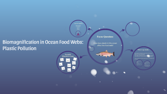 Biomagnification in Ocean Food Webs: Plastic Pollution by Elisabeth ...