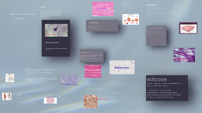 nervous by alissa puryear on Prezi