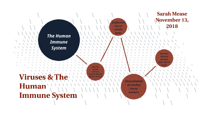 Viruses & The Human Immune System by Sarah Mease on Prezi