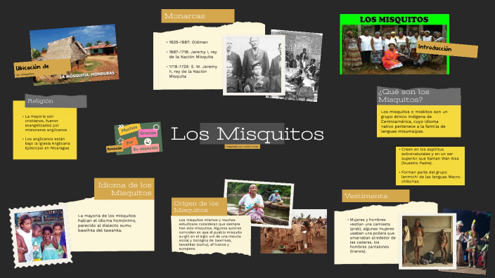 Los Misquitos by Judith Flores on Prezi