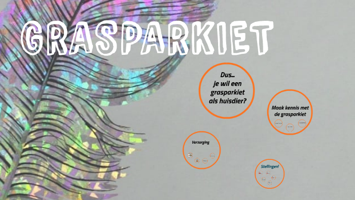 GRASPARKIET by jef adriaens on Prezi