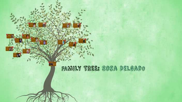Litzy Sosa - Family Tree by LITZY SOSA on Prezi