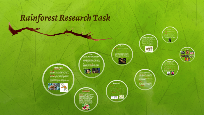 Rainforest Research Task by rania Michalos on Prezi