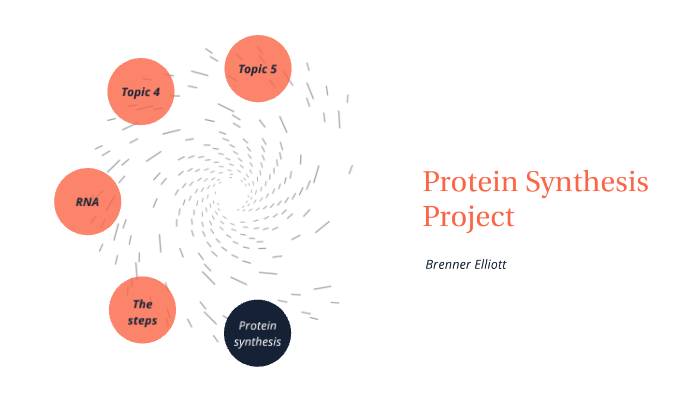 Protein Synthesis Project by Brenner Elliott on Prezi