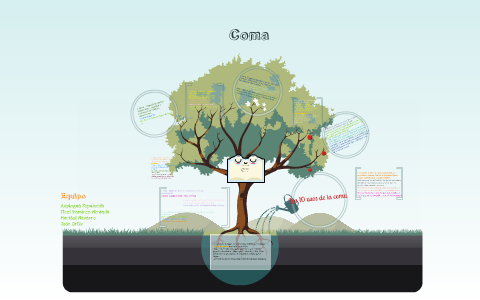 Coma y sus usos by Miranda Guerra on Prezi