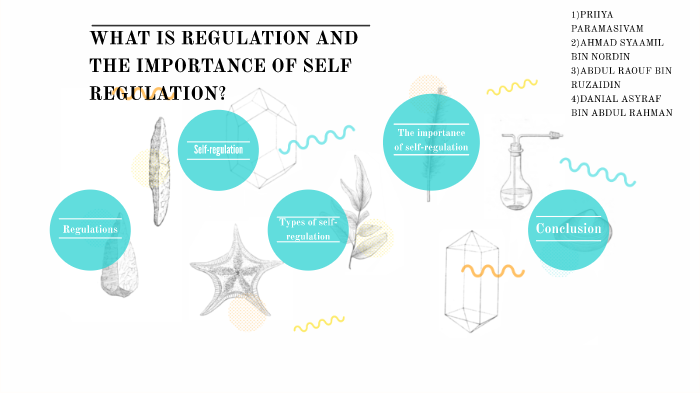WHAT IS REGULATION AND THE IMPORTANCE OF SELF-REGULATION by jack fry on ...