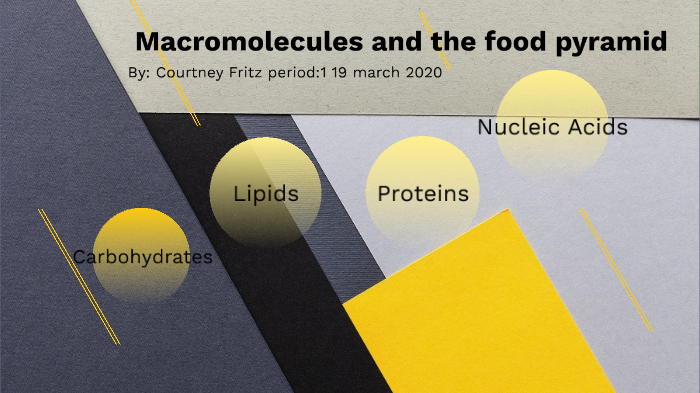Macromolecules and the food pyramid by court fritz on Prezi