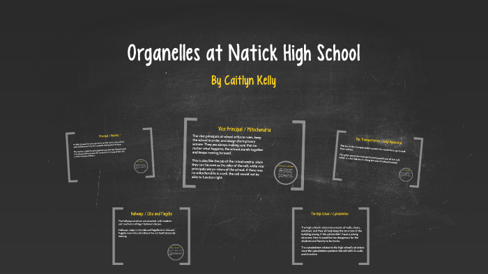 Cell Analogy Mini-Project by Caitlyn Kelly on Prezi